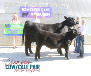Show Results – Iowa Angus Association