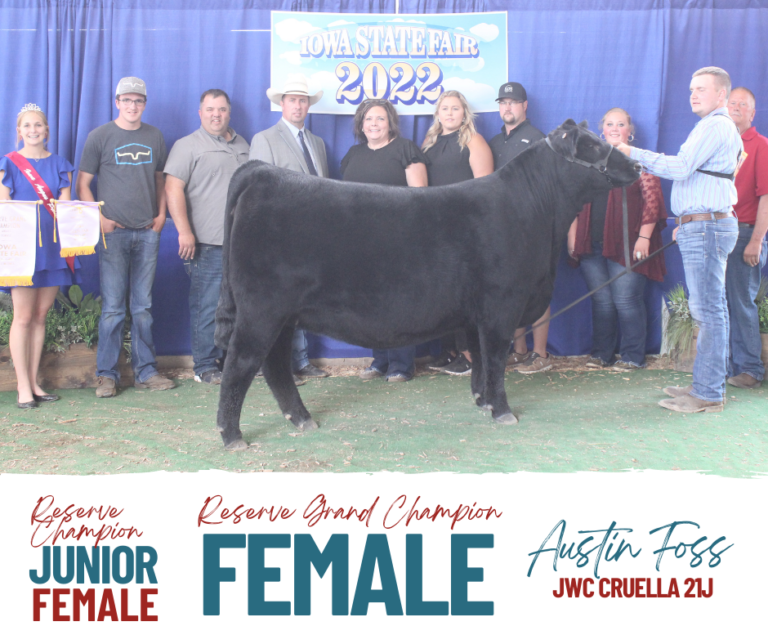 Show Results – Iowa Angus Association