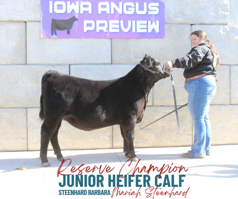 Show Results – Iowa Angus Association