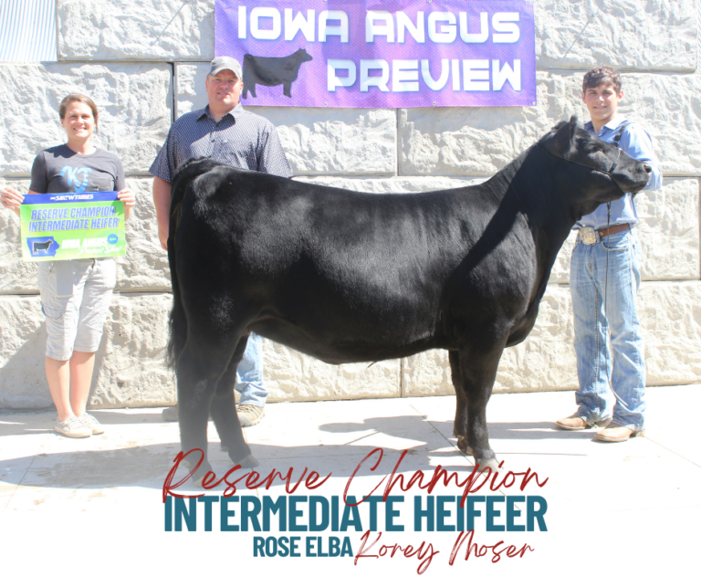 Show Results – Iowa Angus Association
