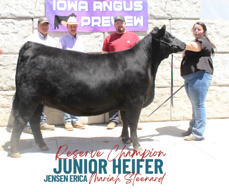 Show Results – Iowa Angus Association
