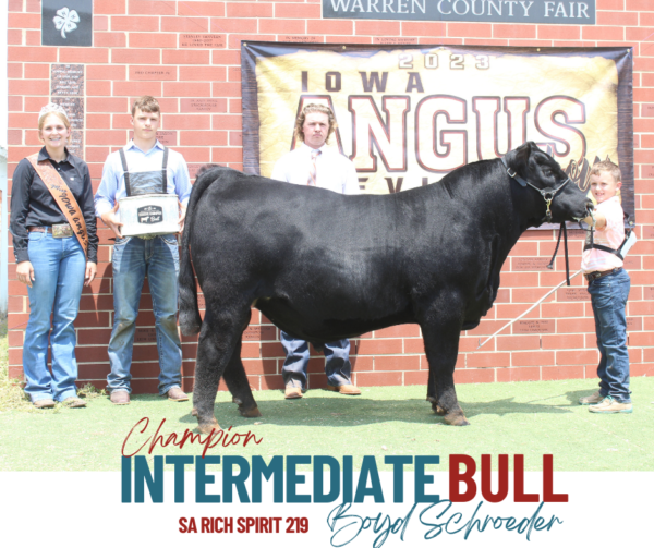 Show Results – Iowa Angus Association