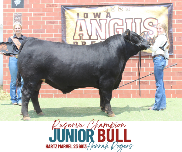 Show Results – Iowa Angus Association